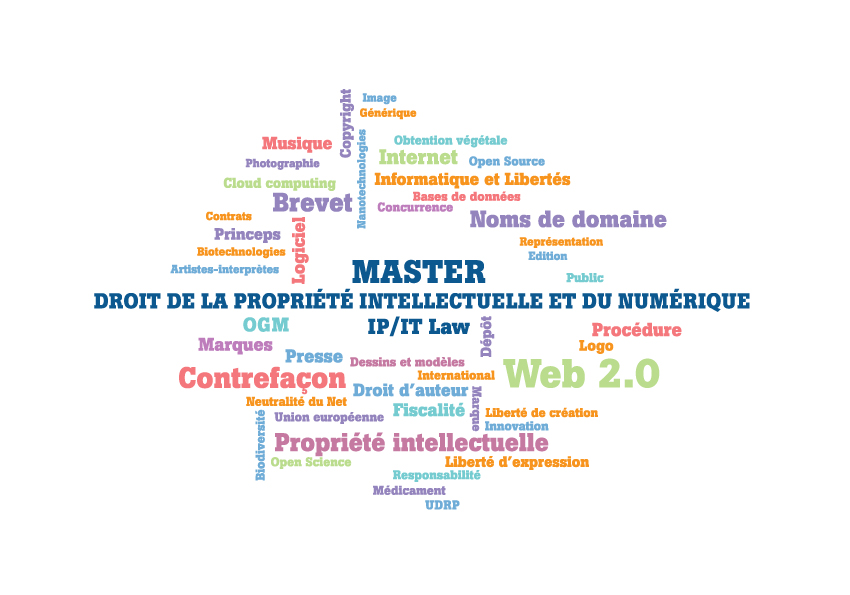 Montpellier's Master DPIN ranked first in its category in 2025 ...
